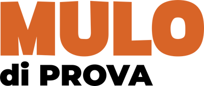 Tees - MULO di PROVA